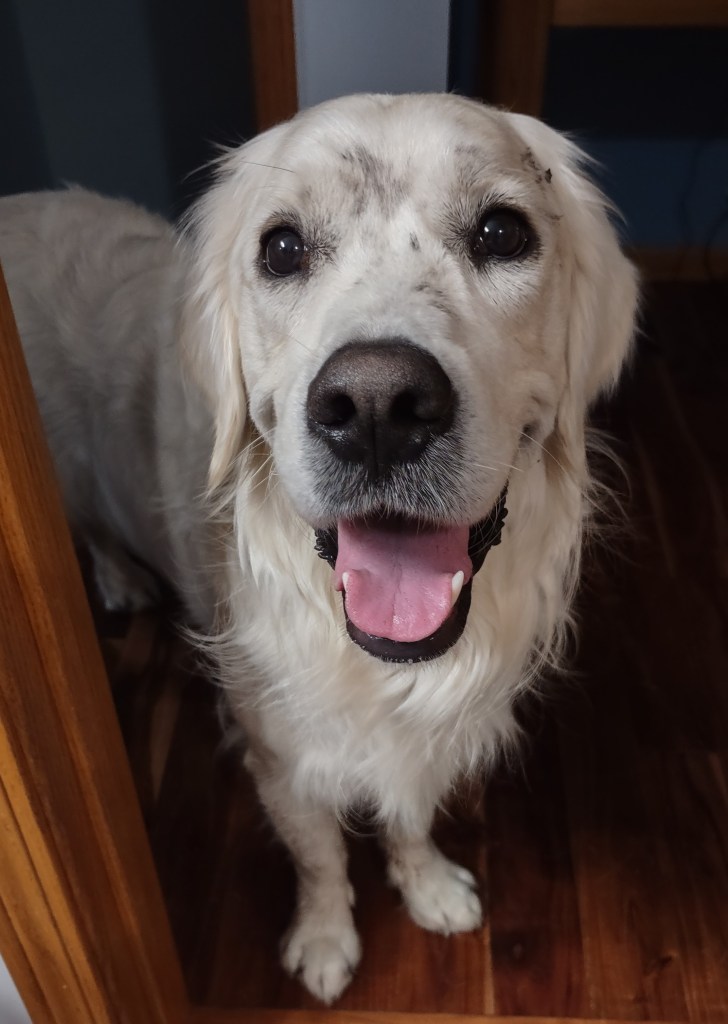 Road Signs for Ruffian – From Four Sticks Farm